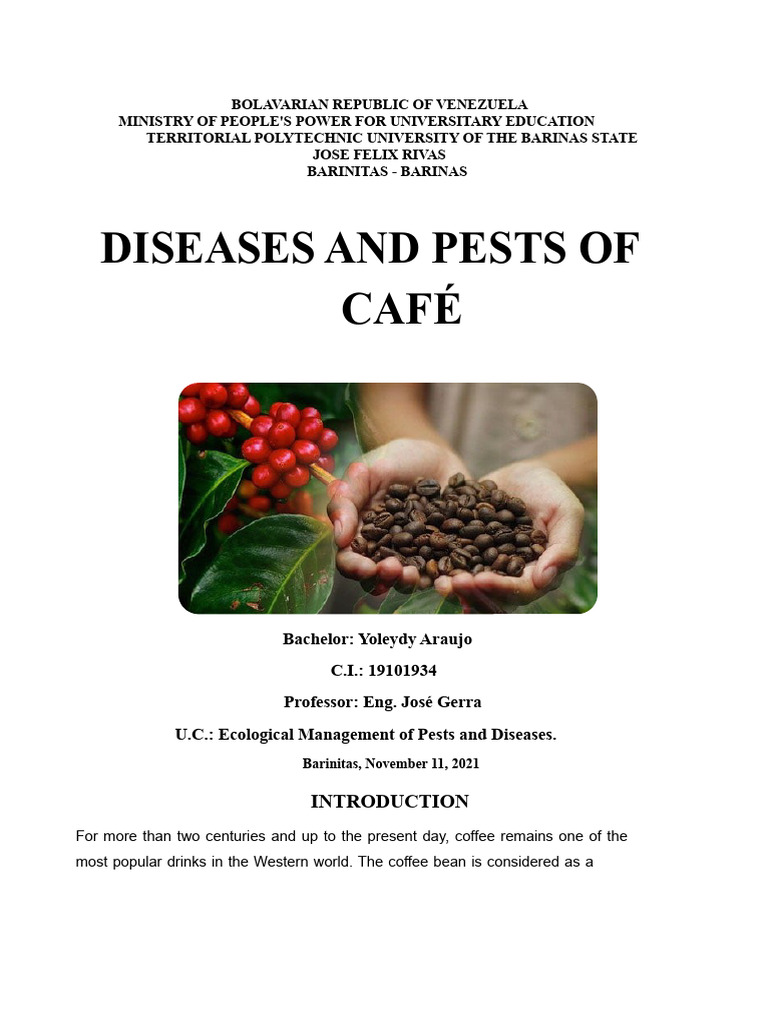 Coffee Diseases and Pests Overview | PDF | Coffee | Pest (Organism)