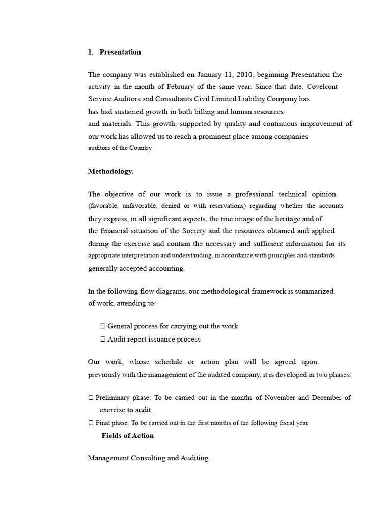 Preliminary Management Audit Report | PDF | Audit | Auditor's Report