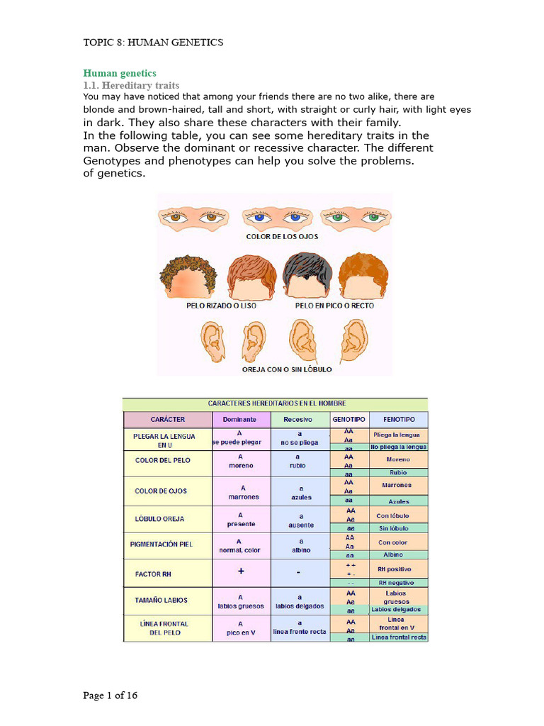 Understanding Human Genetics Basics | PDF | Genetics | Dna