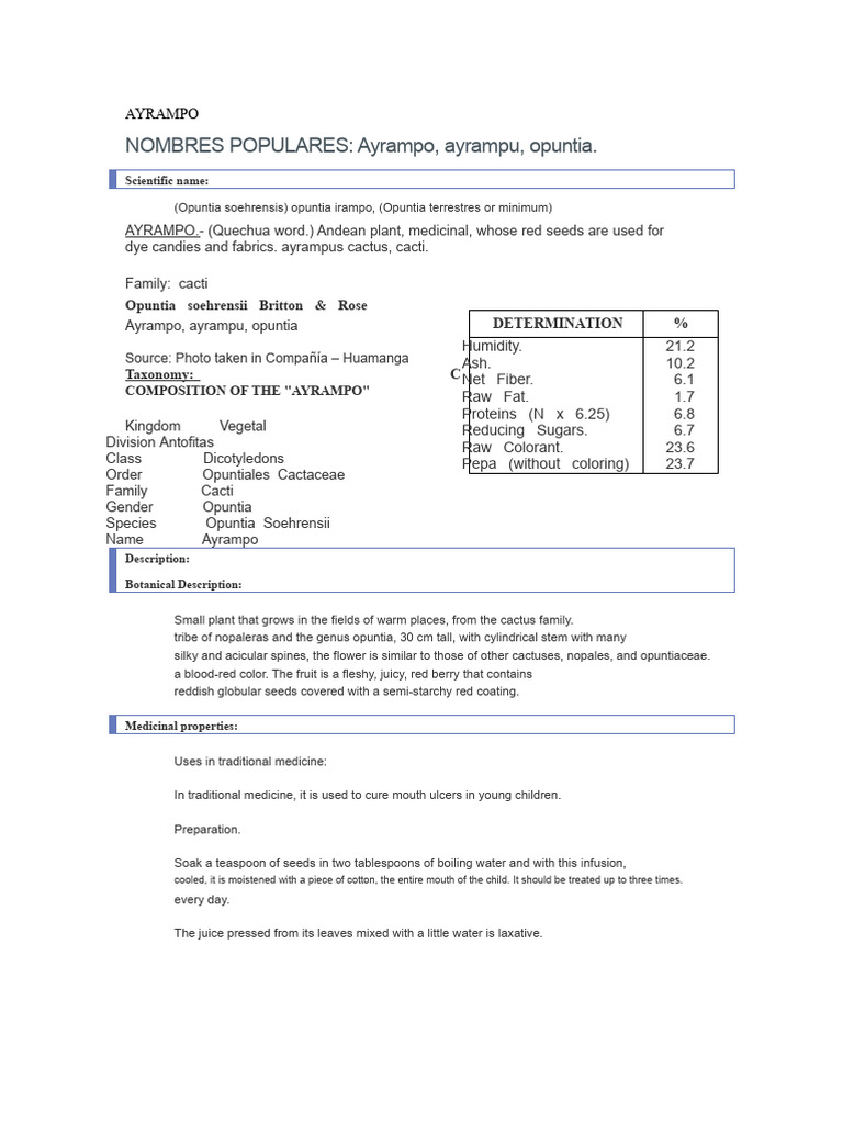 AYRAMPO | PDF | Plants | Botany