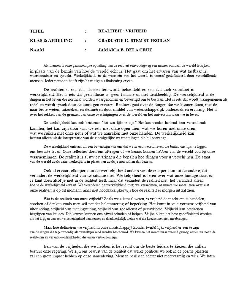 Essay Over de Realiteit | PDF