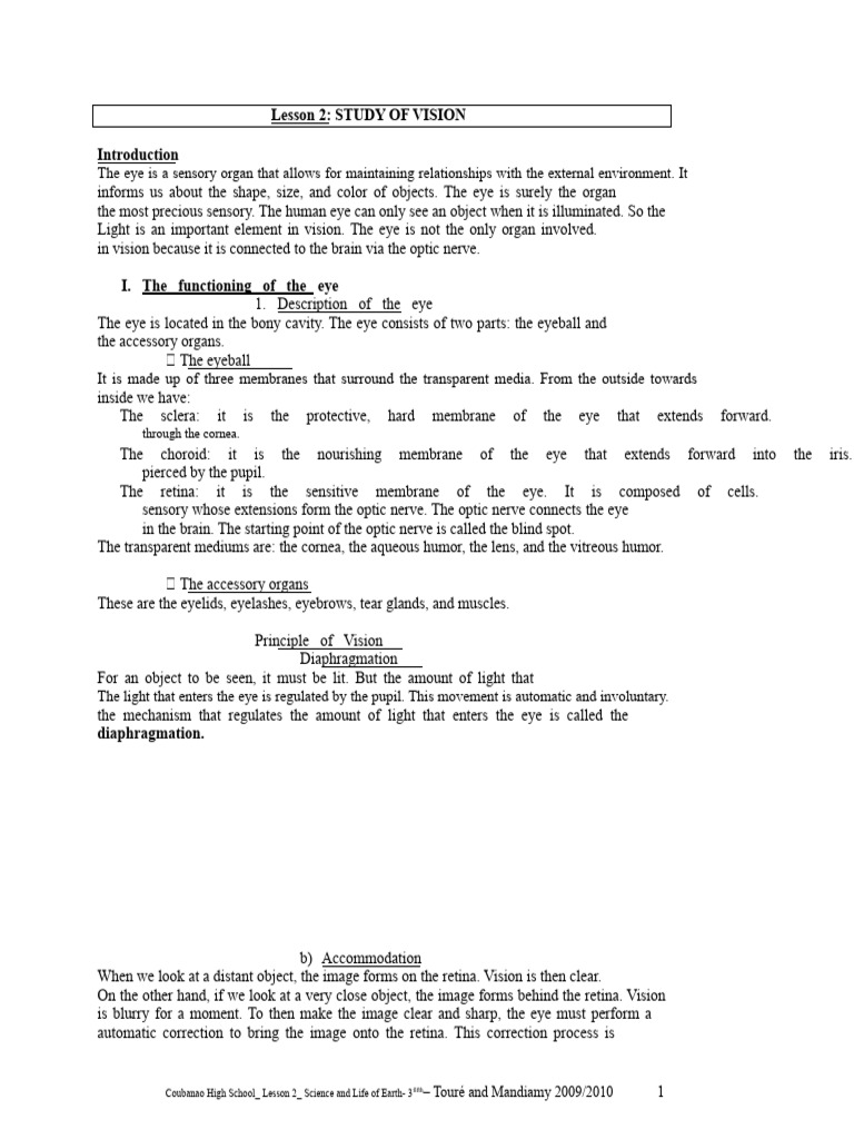 Lesson 2 Study of Vision | PDF | Eye | Visual Perception
