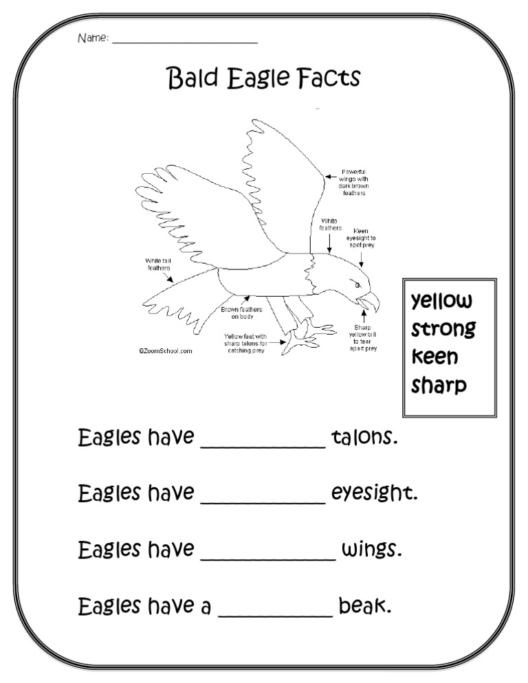 Bald Eagle Facts and Features | PDF | Home & Garden