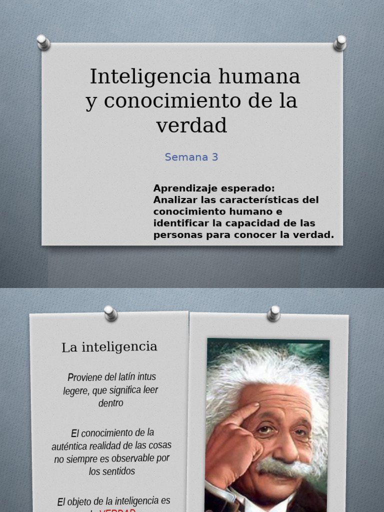 Semana 3 Antro | PDF