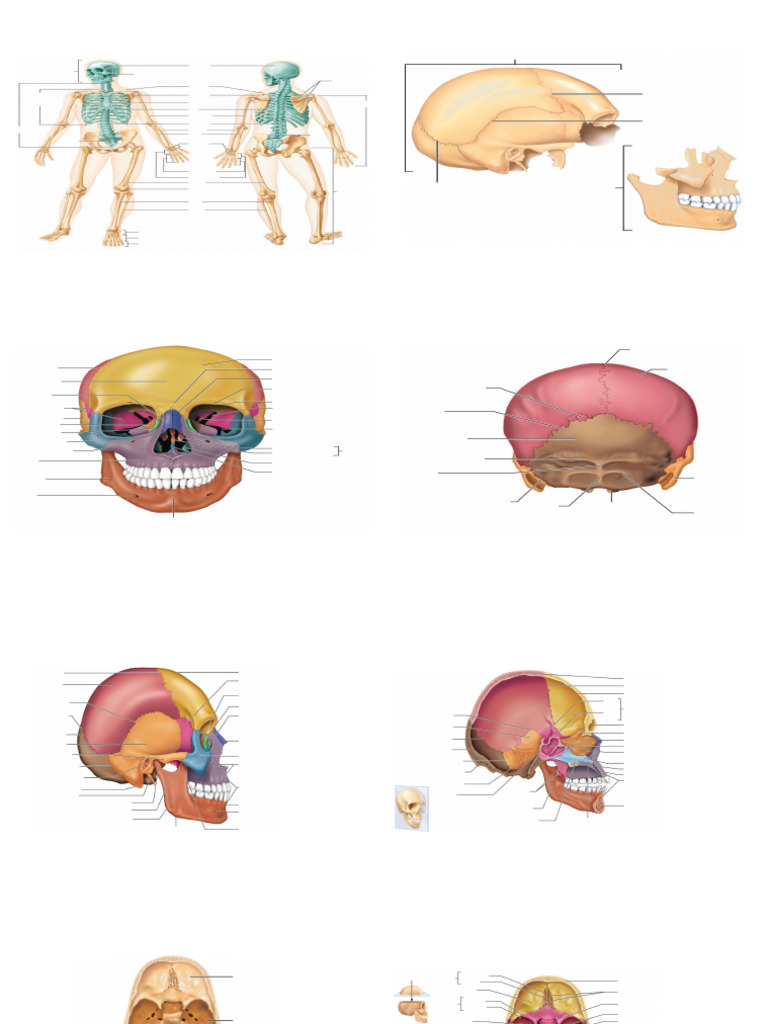Finished Empty Bones | PDF