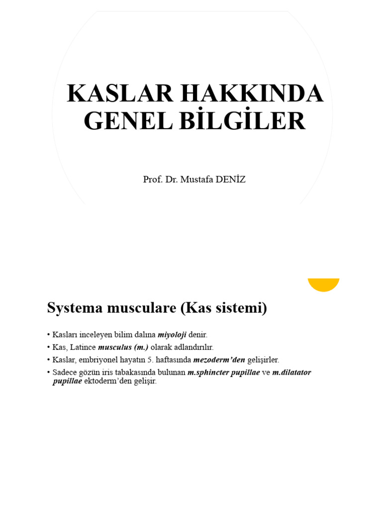 Kaslar Hakkinda Genel Bi̇lgi̇ler 2025-2026 | PDF