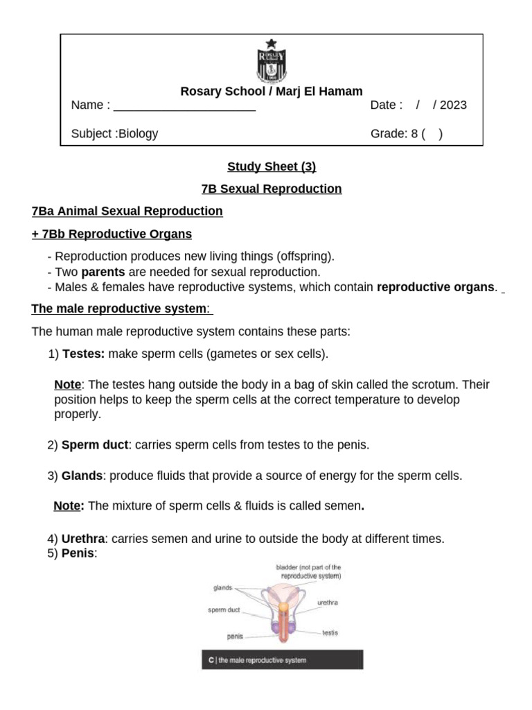 8th Grade Biology: Sexual Reproduction | PDF | Reproductive System ...