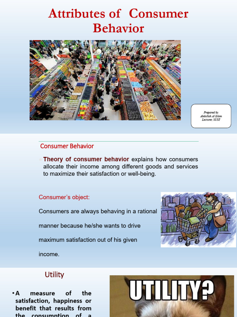 Attributes of Consumer Behavior | PDF | Utility | Scientific Theories