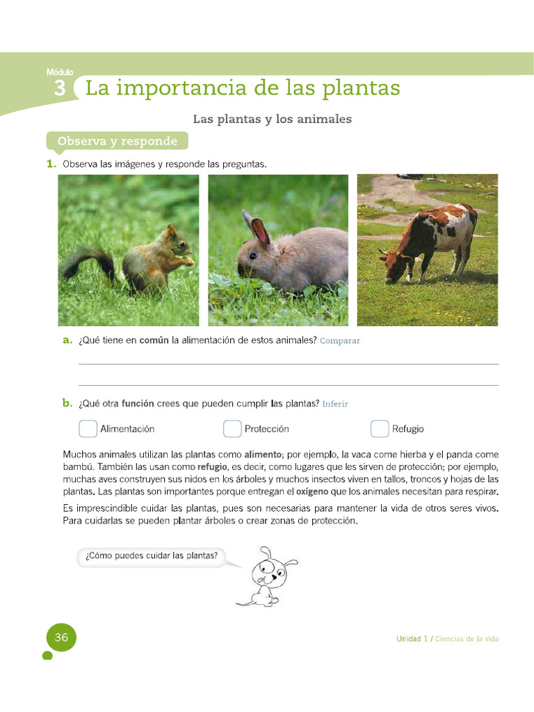 Las Plantas y Los Animales | PDF