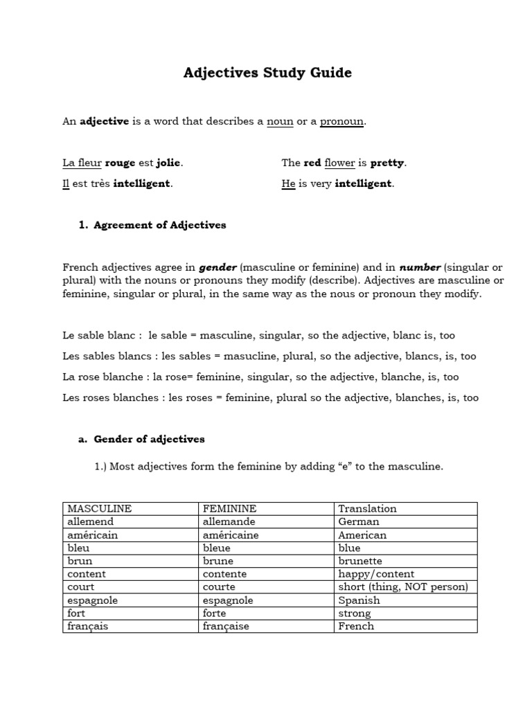 Masculine Plural Adjective Agreement | PDF | Grammatical Gender | Plural