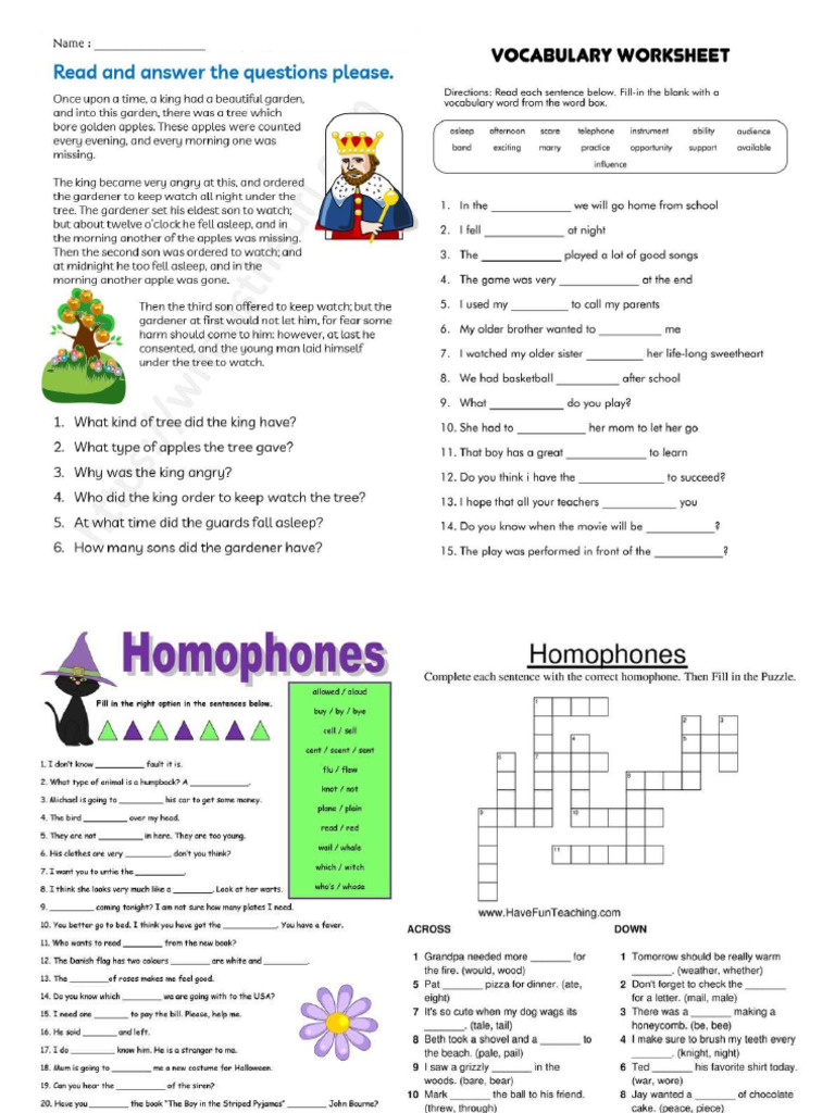 Grade 5 Homophones (Pelita Bangsa) | PDF