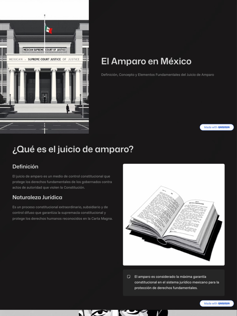 Juicio de Amparo en México: Conceptos Clave | PDF | Constitución ...