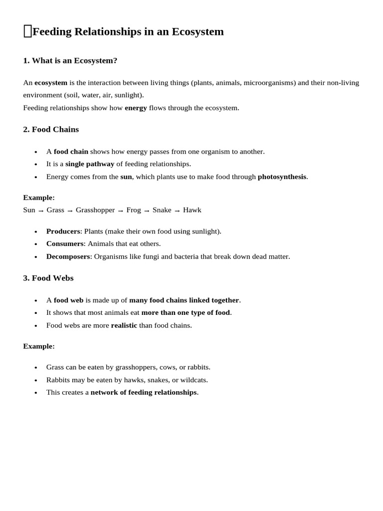 Types of Feeding Relationships in Ecosystems | PDF | Food Web | Foods