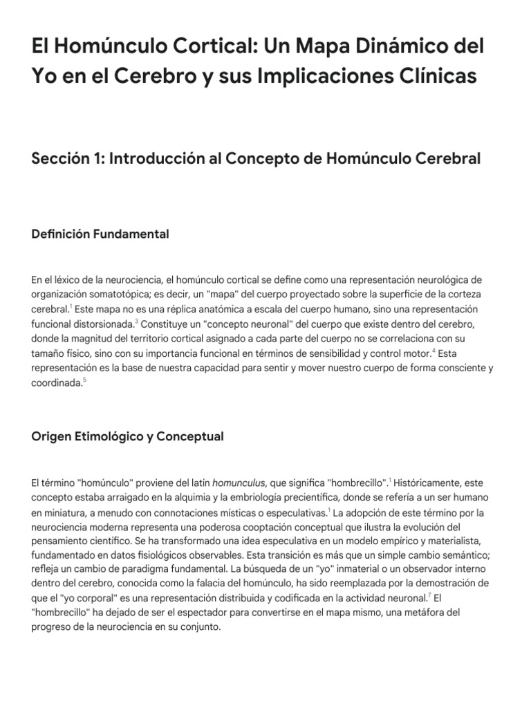 El Homúnculo Cortical y su Función | PDF | Sistema somatosensorial ...