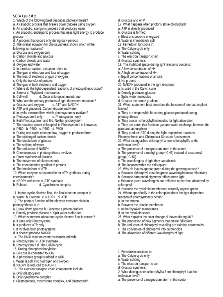 Quiz 2 Photosynthesis Intro | PDF | Photosynthesis | Chlorophyll