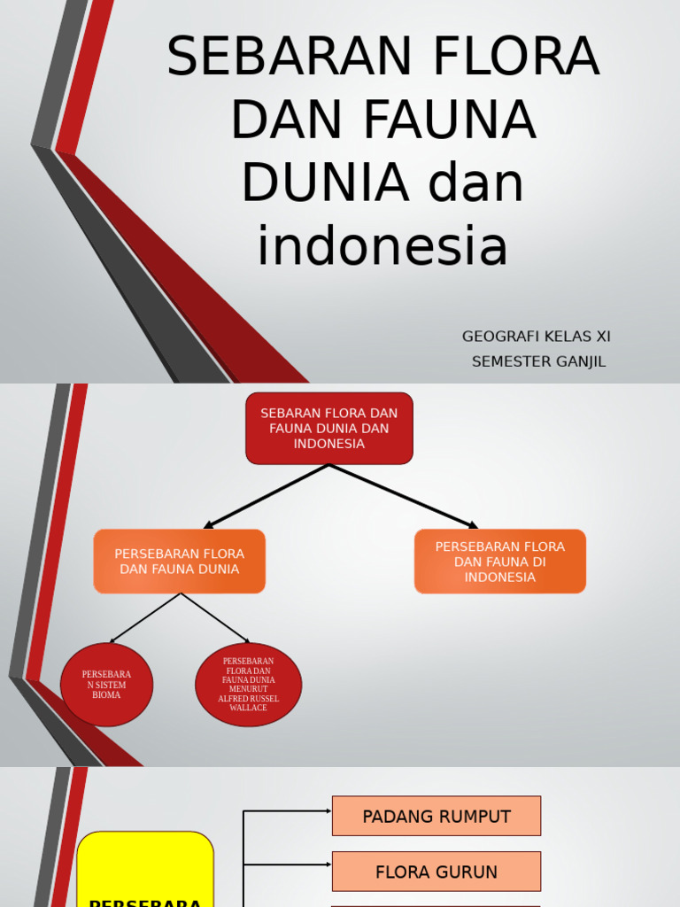 1 Sebaran Flora Dan Fauna Dunia | PDF