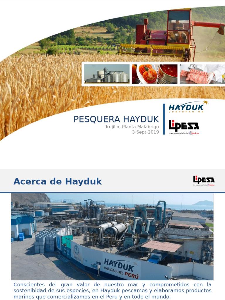 Presentacion Pesquera Hayduk | PDF | Agua | Materiales transparentes