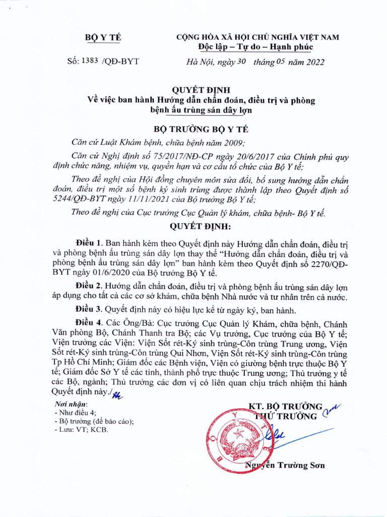 QD 1383, 2022 BYT Chan Doan Dieu Tri An Trung San Day Lon | PDF | Vietnam