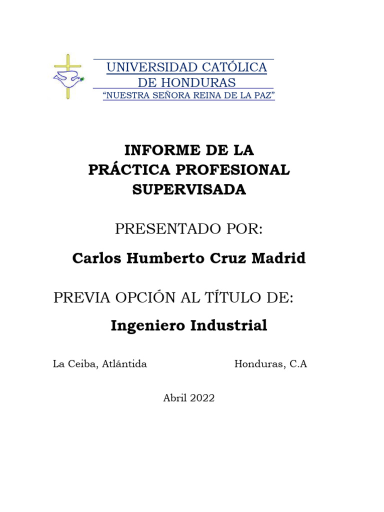Informe Final de Pps Carlos Cruz | PDF