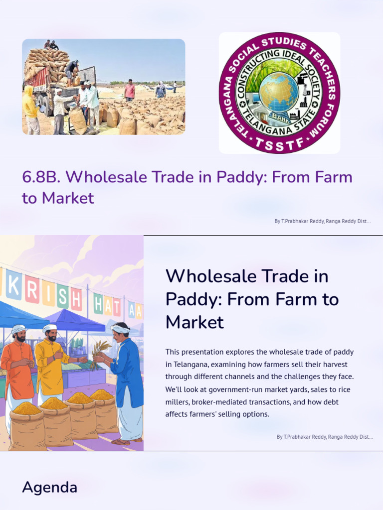 Wholesale Paddy Trade in Telangana | PDF | Loans | Prices
