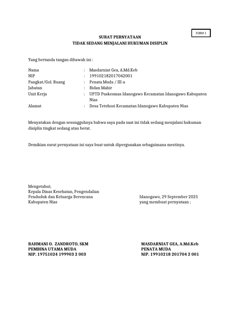 Surat Pernyataan s1 Kebidanan + Profesi | PDF