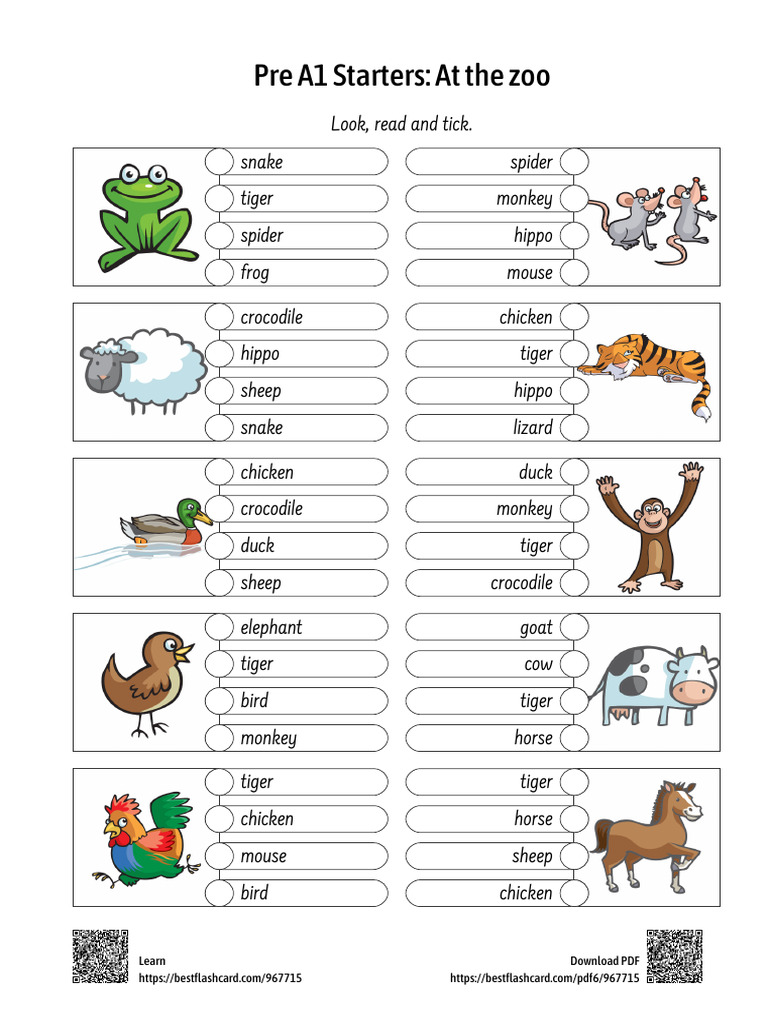 Zoo Animals Vocabulary for Kids | PDF | Mammals | Mammal Ecology