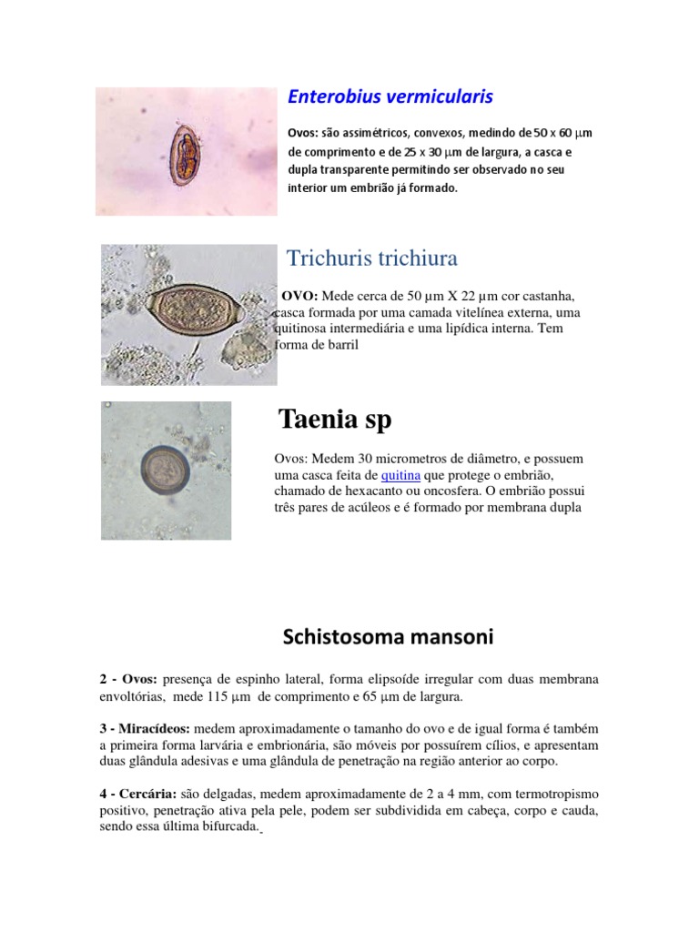 Enterobius Vermicularis | PDF