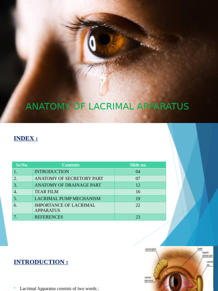 Anatomy of the Lacrimal Apparatus | PDF | Human Anatomy | Human Head ...