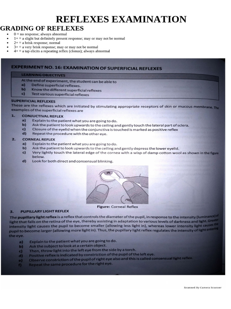 Reflexes Examination | PDF