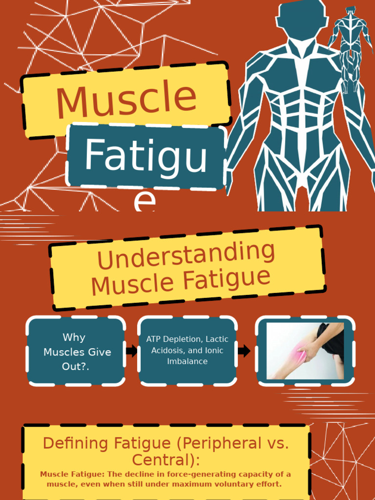 Understanding Muscle Fatigue Mechanisms | PDF | Skeletal Muscle ...