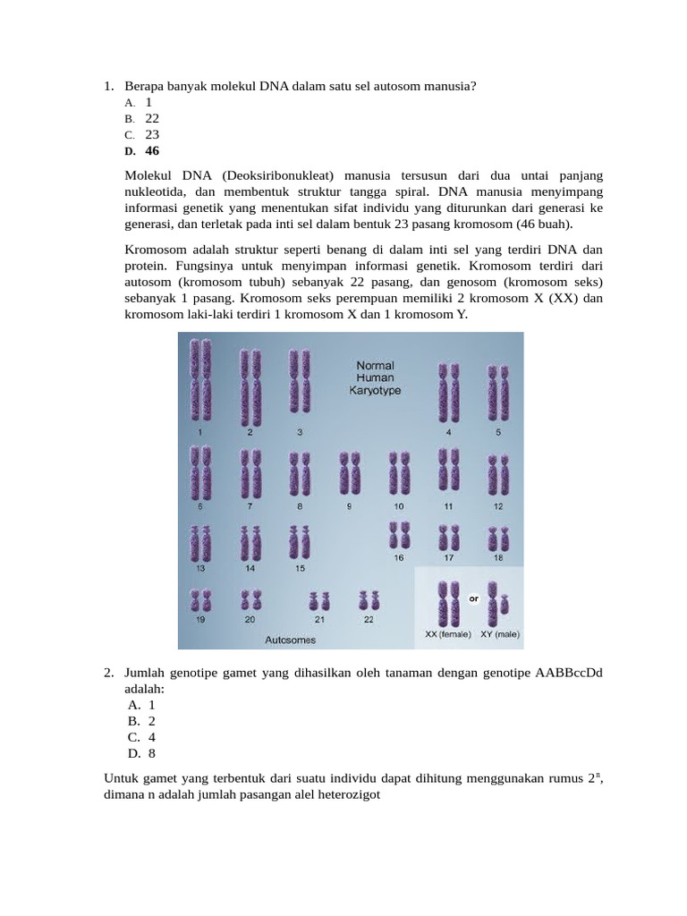Molekul DNA dan Genotipe dalam Sel Manusia | PDF