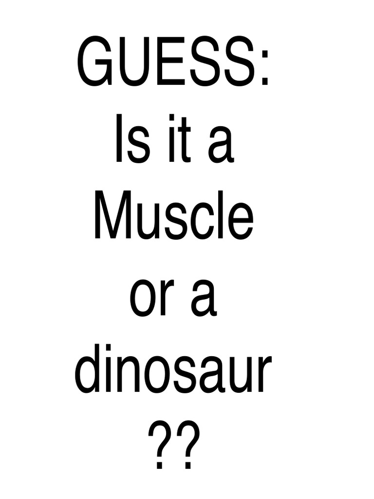 Dino or Muscle | PDF