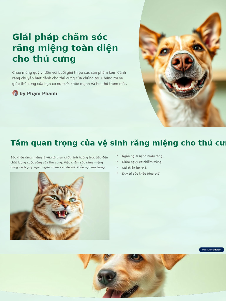 Giai Phap Cham Soc Rang Mieng Toan Dien Cho Thu Cung | PDF