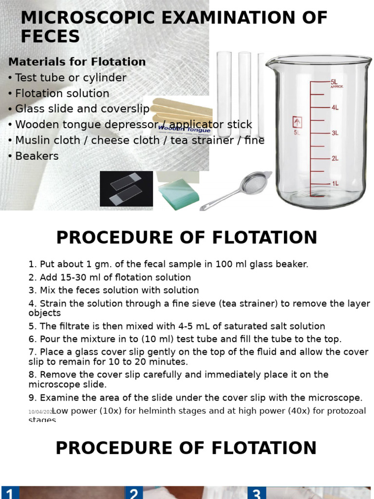 Fecal Examination Techniques Guide | PDF