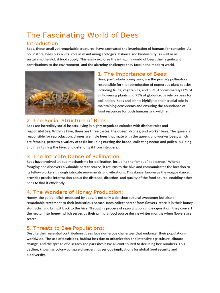 The Essential Role of Bees in Ecology | PDF | Honey Bee | Pollinators