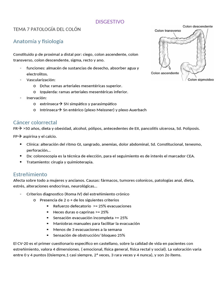 Disg Es Tivo | PDF | Estómago | Intestino grueso