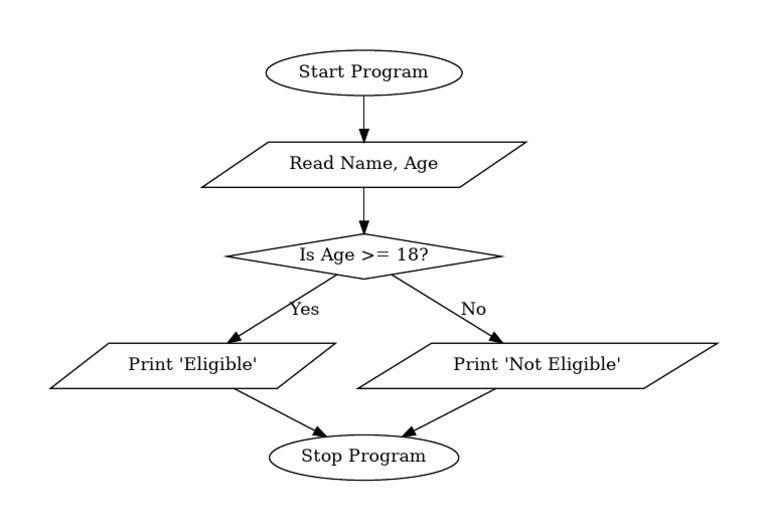 Age Eligibility Check Program | PDF
