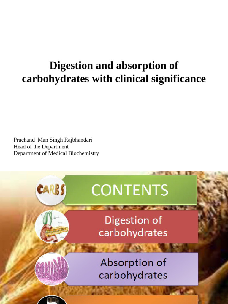 Carbohydrate Digestion and Absorption | PDF