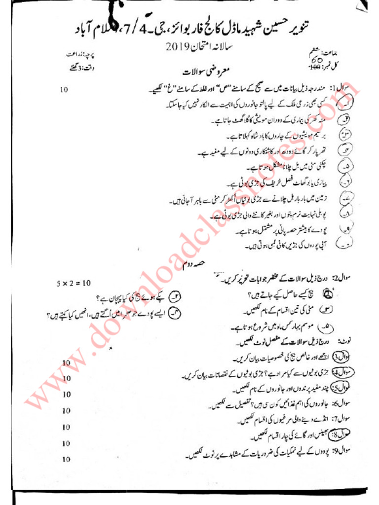 6th Class Old Papers 2019 | PDF