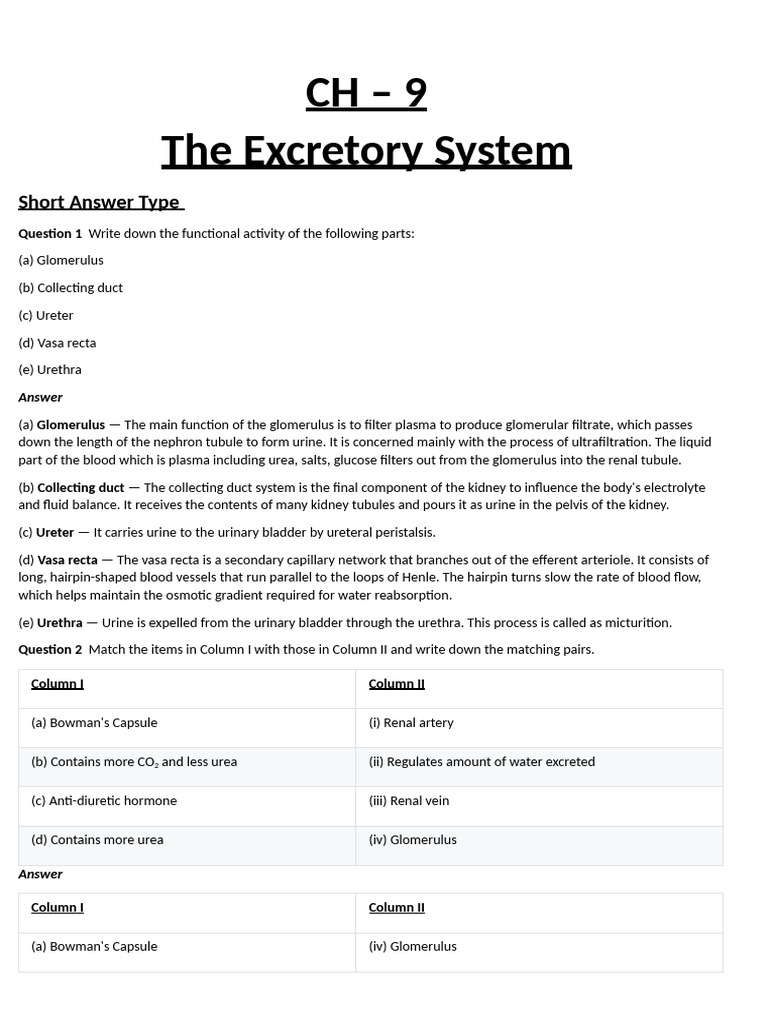 CH - 9 The Excretory System Biology X 2025 - 2026 | PDF | Kidney ...