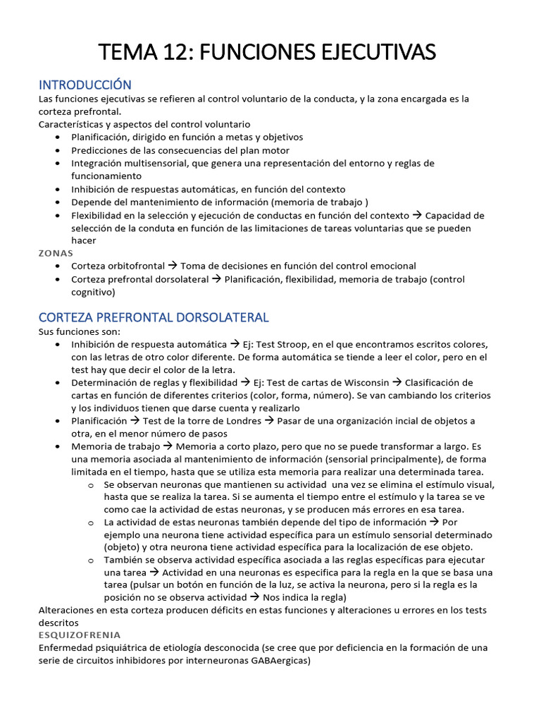 Tema 12 - Funciones Ejecutivas | PDF | Corteza prefrontal | Memoria