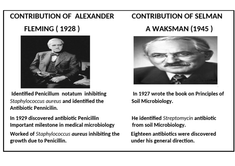 Contributions of Fleming and Waksman | PDF