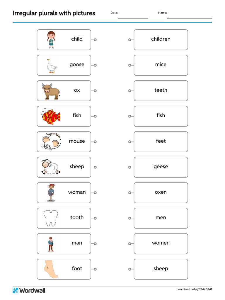Irregular Plurals With Pictures Match Up Line Drawing | PDF
