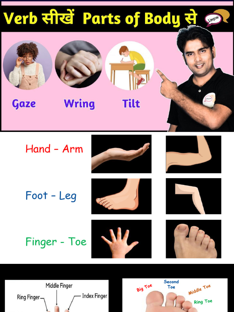 Body Parts and Action Verbs Guide | PDF | Chess Openings | Chess