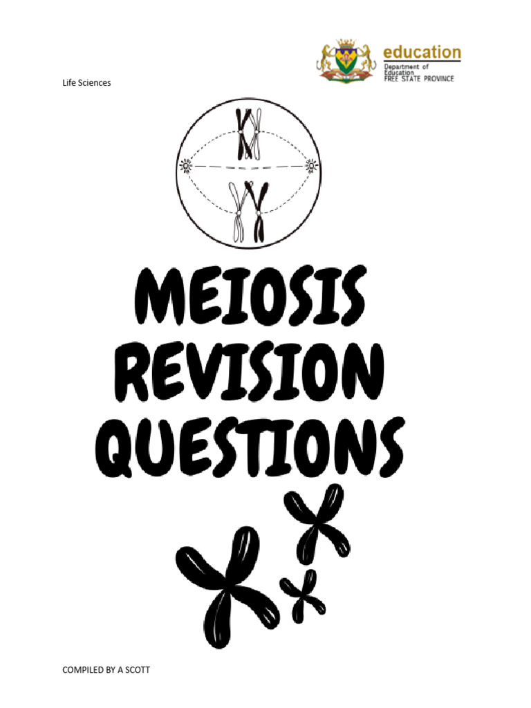 Meiosis Revision Questions | PDF