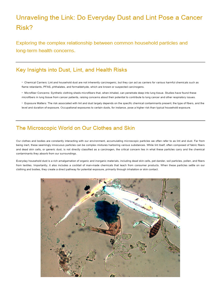 Unraveling the Link_ Do Everyday Dust and Lint Pose a Cancer Risk | PDF ...