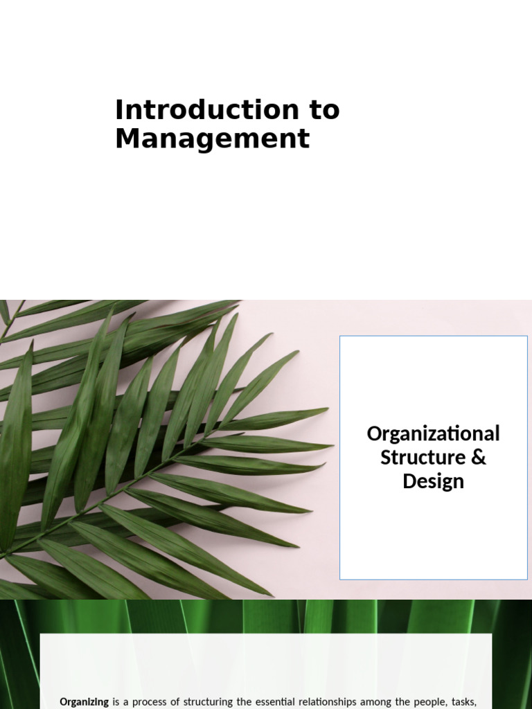 Understanding Organizational Structure & Design | PDF | Organizational ...