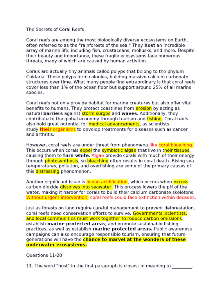 REad+ Write | PDF | Coral | Coral Reef