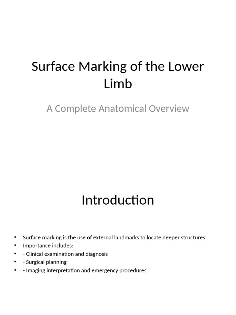 Lower Limb Surface Marking Guide | PDF | Human Leg | Musculoskeletal System