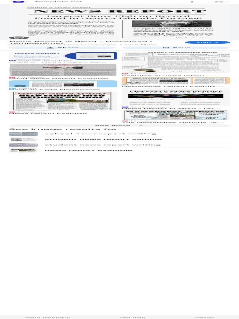 Short News Report Template | PDF